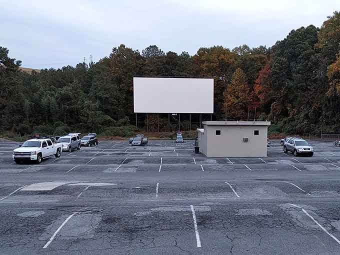 That towering white screen against the trees isn't just a movie display, it's a portal to simpler times.