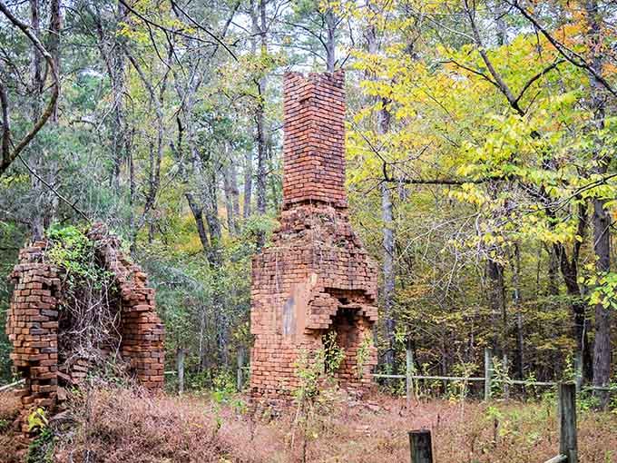 Standing tall like a monument to Georgia's industrial past, this brick structure watches over a town that exists only in memory.