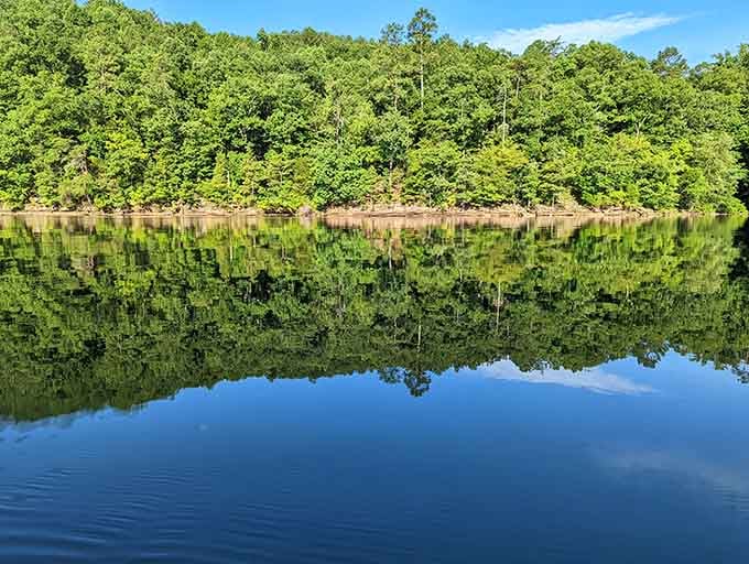 When the water's so clear it mirrors the trees perfectly, you start questioning which way is up.