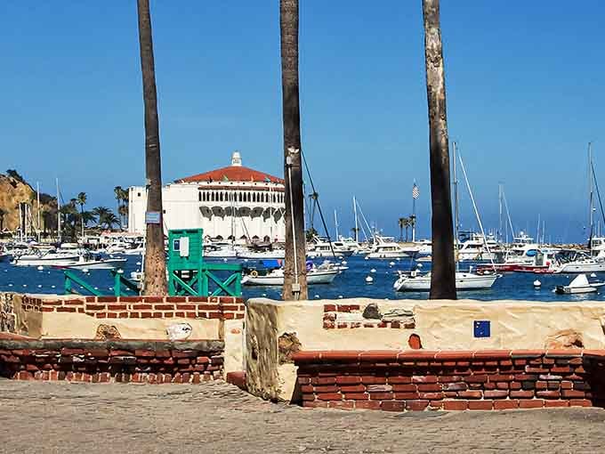 The iconic Casino building stands guard over Avalon Harbor like a Mediterranean sentinel with excellent taste in architecture.