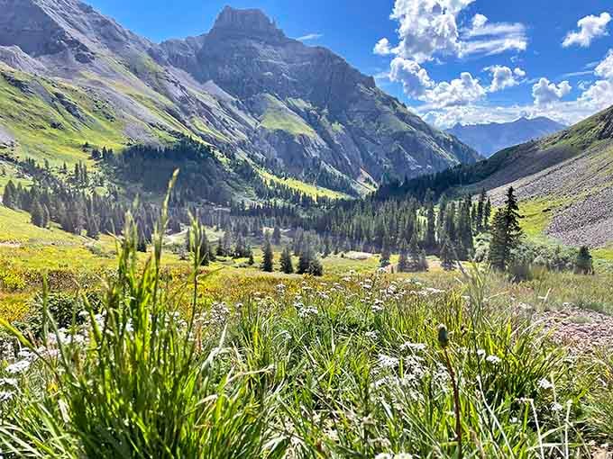 When wildflowers meet mountain majesty, you get views that make your camera roll explode with joy.