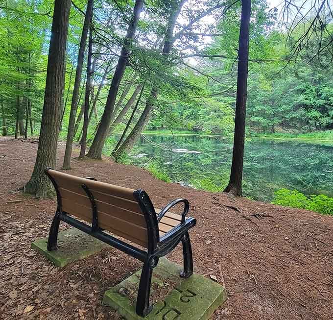 That bench has seen more deep thoughts and life revelations than most therapists' offices combined.
