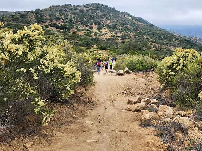 The trail begins with promise, winding through golden grasslands where every step feels like entering California's wild heart.