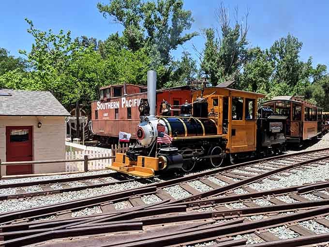 That gleaming Southern Pacific caboose paired with a vintage steam locomotive is pure California railroad history in motion.