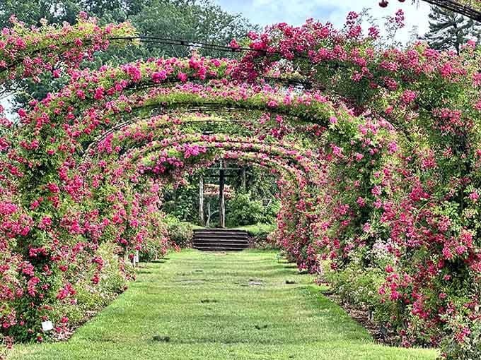 Those rose-covered arches aren't just Instagram bait, they're literal tunnels of floral perfection you can walk through.