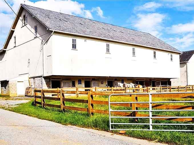 This classic Pennsylvania barn has been transformed into guest quarters that blend rustic charm with genuine comfort.
