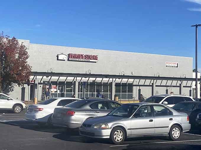 That full parking lot under blue Colorado skies tells you everything about this treasure hunter's paradise.