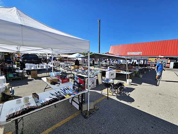 Rows of white tents stretch beneath blue skies, promising treasures that range from practical to wonderfully peculiar.