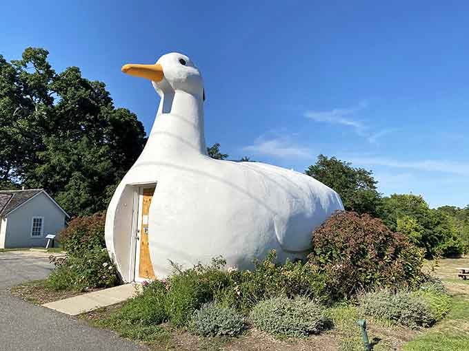 There it is in all its glory &ndash; a twenty-foot duck that's been stopping traffic since the Depression era.