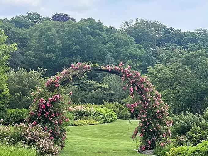 This floral archway looks like something from a Jane Austen novel, minus the corsets and drama.