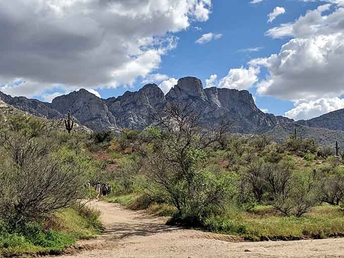 Those mountains rising behind the trail look like nature's way of showing off for the camera.