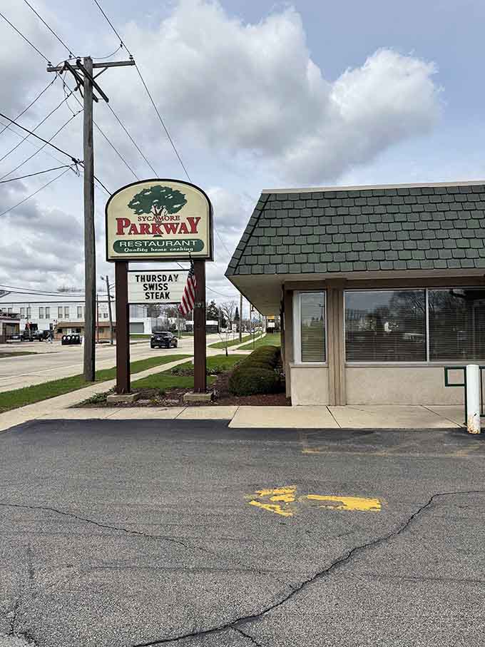 That sycamore tree logo isn't just decoration&mdash;it's a promise of shade from mediocre breakfast everywhere else.
