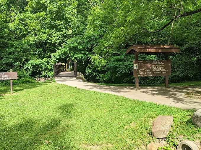 That lush summer canopy welcomes you like nature's own green cathedral, promising adventure just beyond the trailhead.