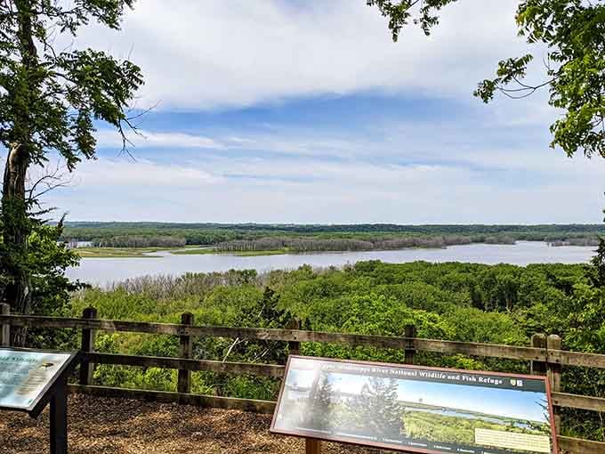 The Mississippi River stretches endlessly below, proving Illinois has views that rival any postcard from out West.