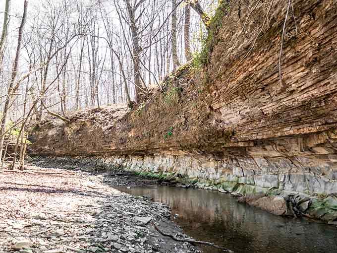 These limestone cliffs have been standing here longer than anyone's been complaining about gas prices or weather.