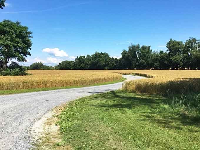 Winding trails through amber grasses prove that the best adventures don't require a single highway toll.