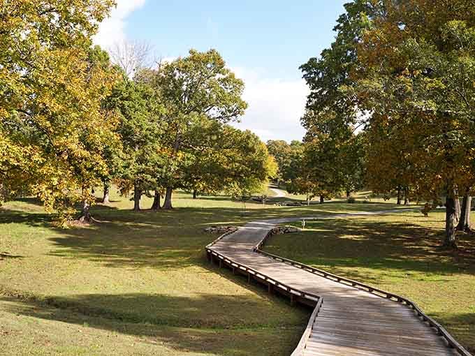 Those winding boardwalks aren't just pretty&mdash;they're your gateway to exploring nature without sacrificing your favorite shoes to mud.