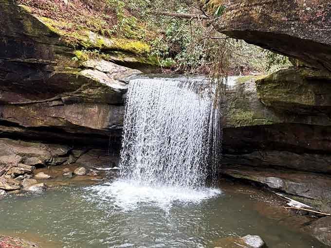 Nature's own infinity pool, complete with a waterfall soundtrack that beats any spa's meditation playlist.