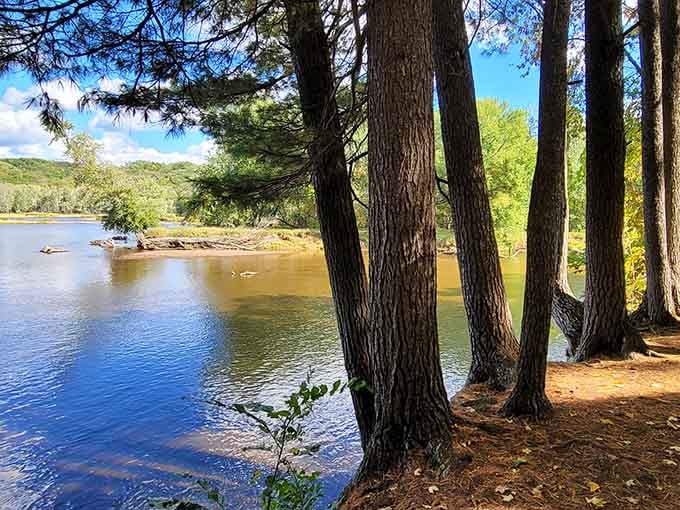 Where the river meets the shore, nature creates its own peaceful masterpiece daily.