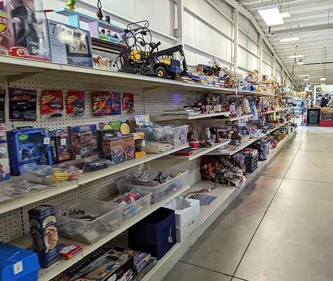 Shelves stretching into infinity, packed with treasures that'll make you forget what century you're in.
