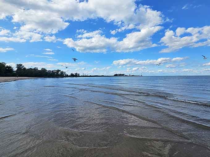 Lake Erie doing its best ocean impression, complete with gentle waves and sand that won't haunt your car forever.