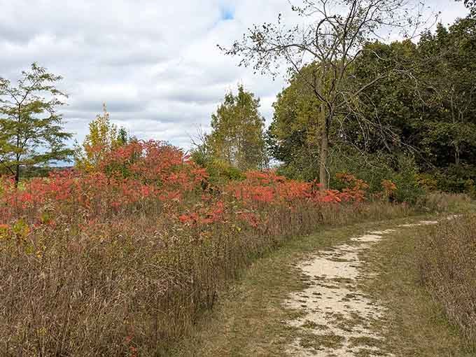 When fall decides to show off, the prairie paths at Lizard Mound become nature's own art gallery.