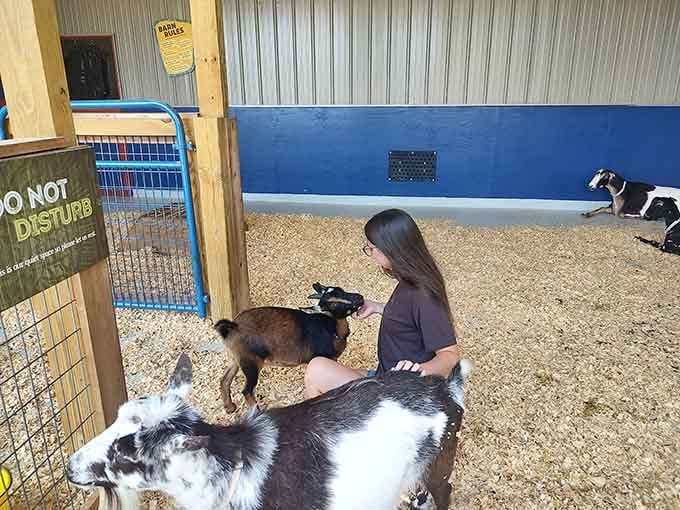 Sometimes the best friendships happen in barns with wood shavings underfoot and goats demanding your undivided attention.