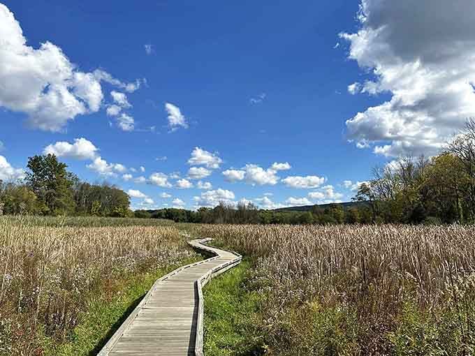 That winding boardwalk through golden grasses proves New Jersey has more scenic trails than traffic jams.