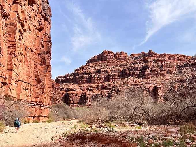 Those towering canyon walls aren't just scenery, they're your gateway to an adventure that'll make your Instagram followers weep.