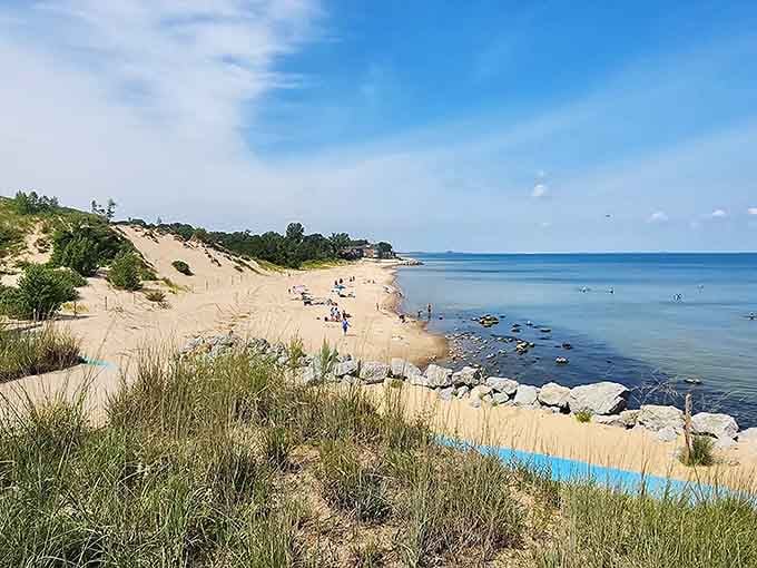 Trees sprouting from sand dunes? Welcome to Indiana's most delightfully confused landscape.