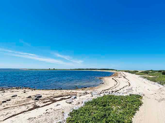 Where calm bay waters meet pristine sand, this protected shoreline feels like stepping into a postcard nobody's mailed yet.