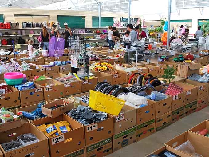 Bargain bins bursting with possibilities, proving that the best deals often require a little digging and determination.