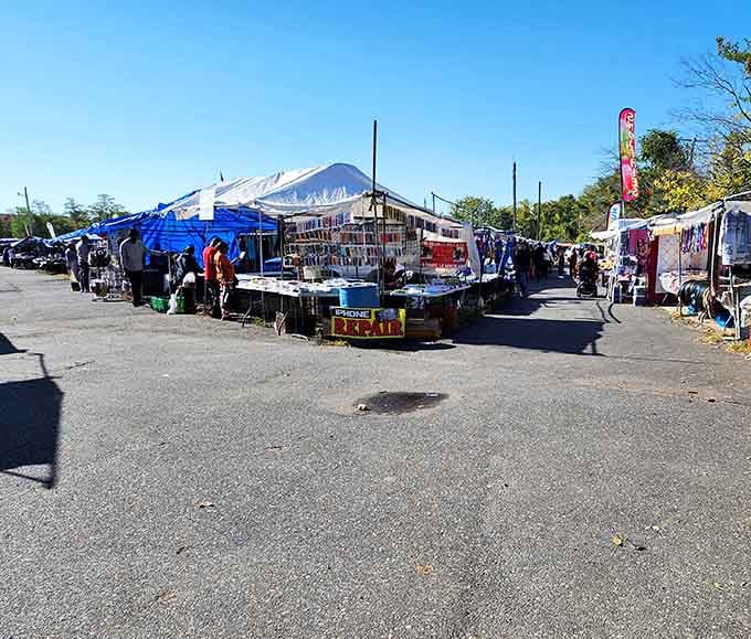 Rows of blue-topped vendor stalls stretch into the distance, promising treasures around every sun-drenched corner.