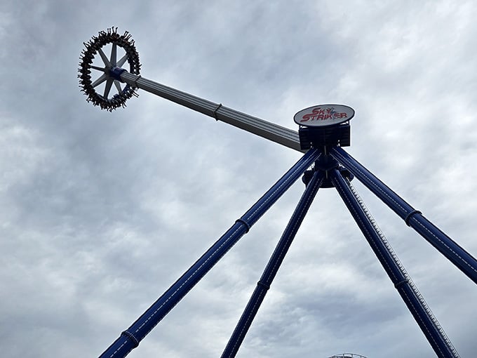 Standing tall like it owns the place, because honestly, when you're this high, you kind of do.