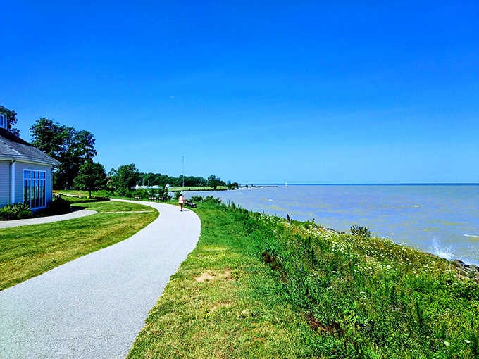 That lakeside path curves along the water like it was designed specifically for peaceful morning strolls and deep thoughts.