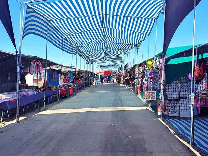 Tables laden with treasures under shaded canopies, where every vendor's display tells its own story of possibility.