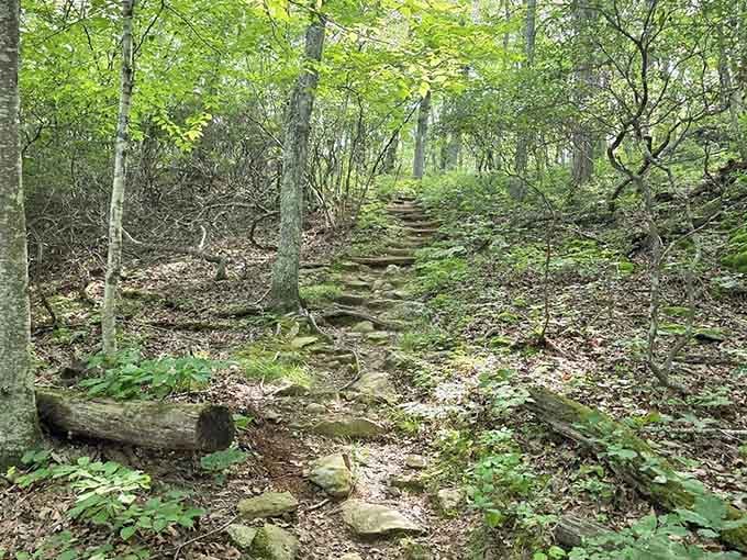 Stone steps rising through the forest like nature's own stairway to heaven, minus the Led Zeppelin soundtrack.