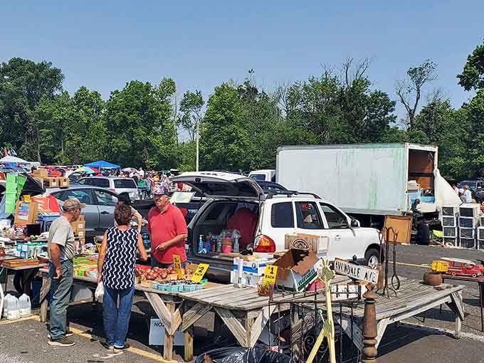 Treasure hunting begins where car trunks transform into storefronts and every weathered table holds possibility.