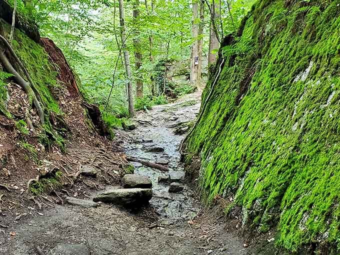 Nature's architecture at its finest, where moss-covered rocks create passages that would make any fantasy filmmaker weep with envy.