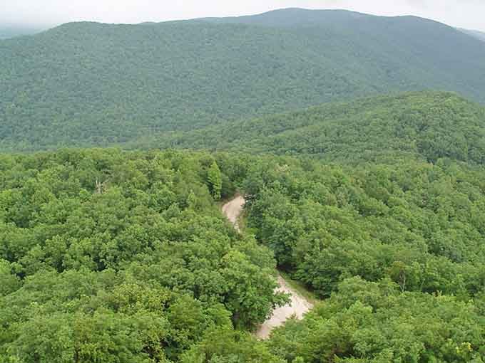 From up here, those winding trails look like nature's invitation to get gloriously, peacefully lost for an afternoon.