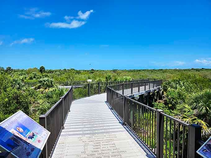 This elevated boardwalk stretches toward the horizon like nature's own red carpet, minus the paparazzi and uncomfortable shoes.