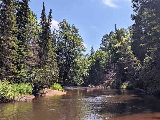 Nature's own quiet masterpiece, where the water reflects peace and the trees stand guard like patient sentinels.