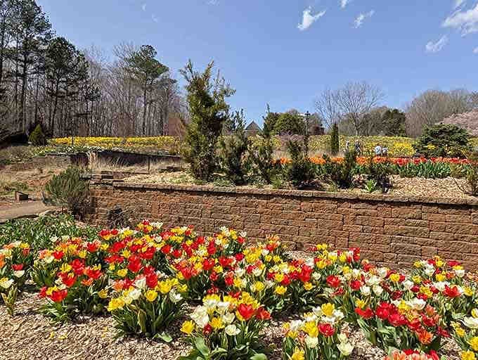 Terraced gardens bursting with tulips and daffodils prove that Mother Nature has impeccable taste in color coordination.