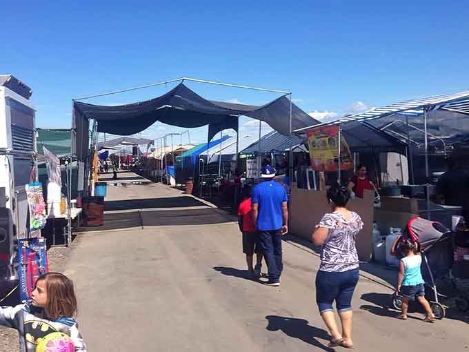 Tables laden with treasures under shaded canopies, where every vendor's display tells its own story of possibility.