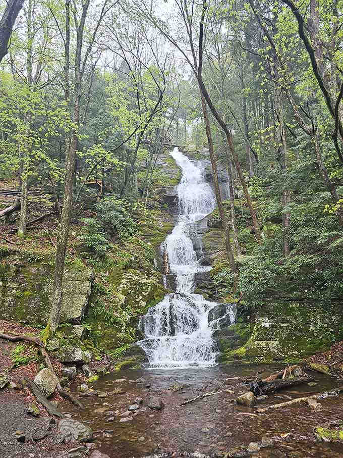 Nature's staircase in action: water tumbling down moss-covered rocks like it's got somewhere important to be.