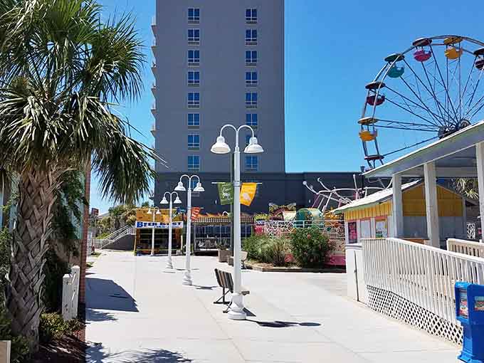 Palm trees and Ferris wheels make better neighbors than you'd think, creating coastal magic in every direction.