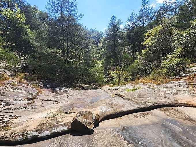 Weathered rock layers stretch toward the forest canopy, each groove and crevice telling stories older than your favorite classic movie.