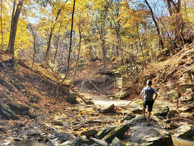 The trail winds through golden autumn foliage, leading adventurous hikers deeper into Rock Bridge's beautiful landscape and natural rock formations.