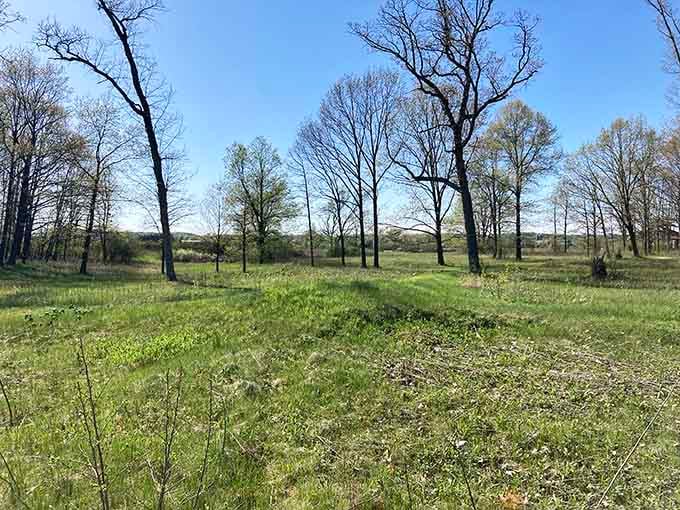 Spring meadows and scattered oaks create the kind of peaceful scene that makes you forget your phone exists.