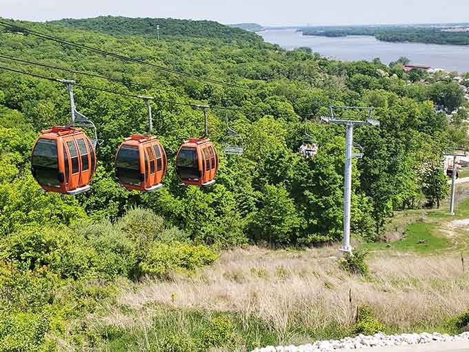 Orange gondolas gliding over emerald forests with river views? Illinois just became unexpectedly Swiss and absolutely stunning.